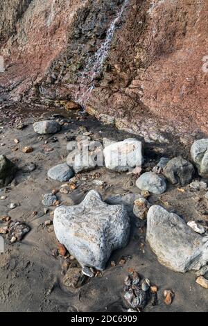 Fossilised dinosaur footprint at Compton Bay, Isle of Wight Stock Photo ...