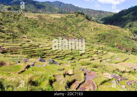 Rice terraces in Sagada, Philippines Stock Photo - Alamy