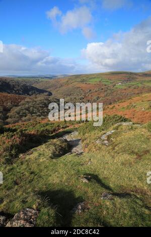 View of Sharp Tor from Bench Tor, across the gorge of the River Dart ...