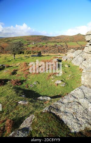 View of Sharp Tor from Bench Tor, across the gorge of the River Dart ...