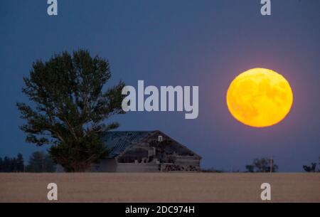 Prairie Full Moon in Saskatchewan Canada rural Stock Photo - Alamy