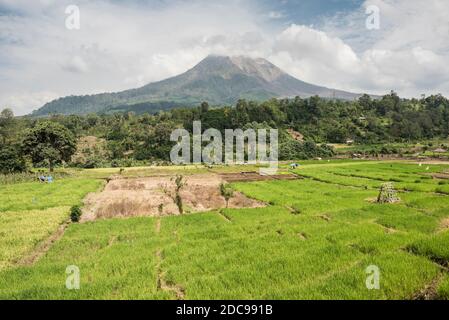 Mount Sinabung volcano, north Sumatra, Indonesia Stock Photo - Alamy