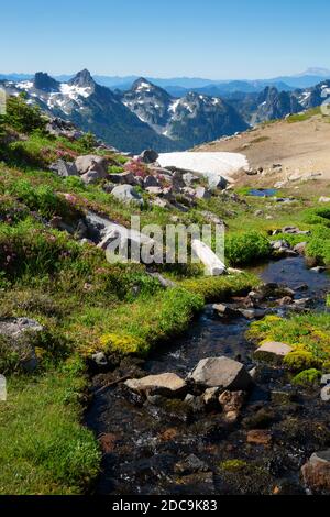 View of the Tatoosh Range from the Skyline Trail at Paradise in Mt ...