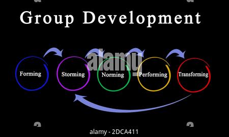 Components of Group Development Process Stock Photo - Alamy