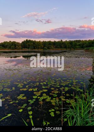 Pogoria II Lake at the sunset Stock Photo - Alamy