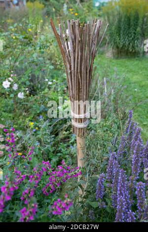 homemade wild bee nesting aid from pithy stems, Germany Stock Photo - Alamy