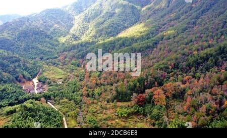 Jiangle. 20th Nov, 2020. Aerial photo taken on Nov. 20, 2020 shows a ...