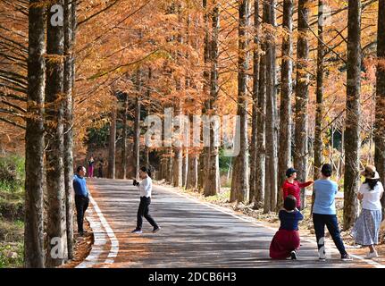 Jiangle, China's Fujian Province. 20th Nov, 2020. A tourist takes ...