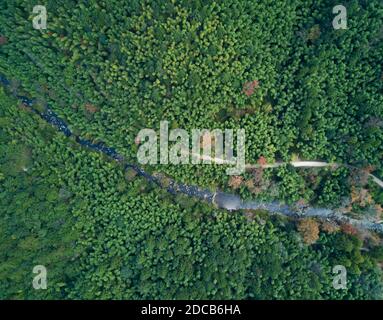 Jiangle. 20th Nov, 2020. Aerial photo taken on Nov. 20, 2020 shows a ...