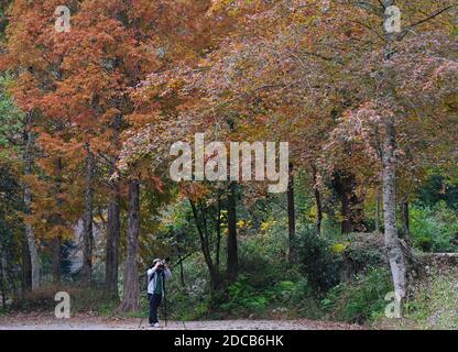 Jiangle, China's Fujian Province. 20th July, 2018. Craftsman Hu Jinteng ...