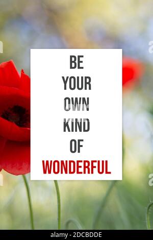 Motivational and Inspirational quote - You are wonderful text on wooden ...
