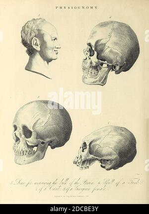 Vintage illustration of a Study in facial expressions, Victorian 19th ...