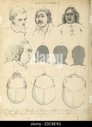 Vintage illustration of a Study in facial expressions, Victorian 19th ...