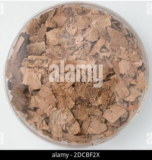 Papyri Fragments, Coptic, 7th century Stock Photo - Alamy