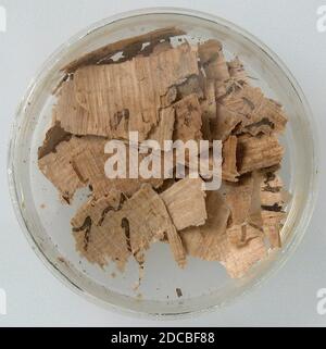 Papyri Fragments, Coptic, 7th century Stock Photo - Alamy