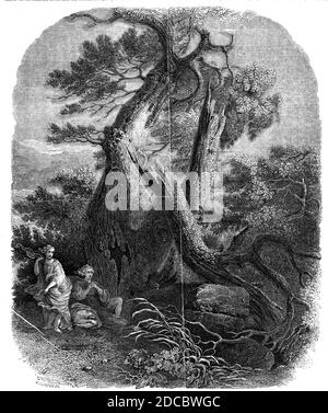Niobe, Greek mythology Stock Photo - Alamy
