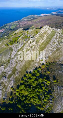 Beech forest in springtime, Cerredo Mountain, Montaña Oriental Costera ...