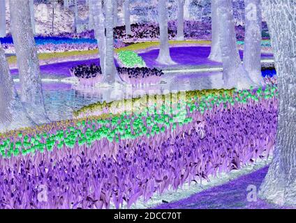 Electric garden with inverted colours Stock Photo - Alamy