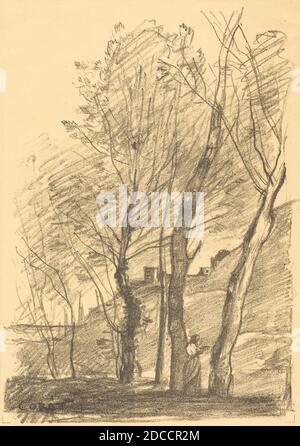 Jean-Baptiste-Camille Corot - Trees in a Swamp Stock Photo - Alamy