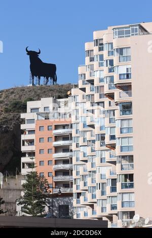 Osborne bull, black silhouette of a bull advertising for the Osborne ...