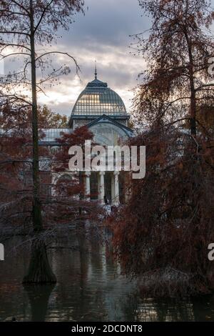 Fall. Autumn branches in the Retiro Park in the city of Madrid with the ...