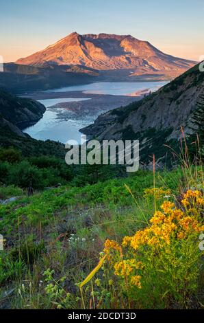 Spirit Lake with floating logs, 40 years after the blast, in Mount St ...