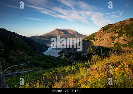 Spirit Lake with floating logs, 40 years after the blast, in Mount St ...