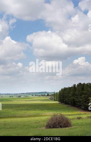 Thunderbolt's Rock, a heritage-listed historic location, picnic site ...