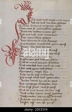 *KDM Cod. pal. germ. 313* is a medieval manuscript housed in the ...