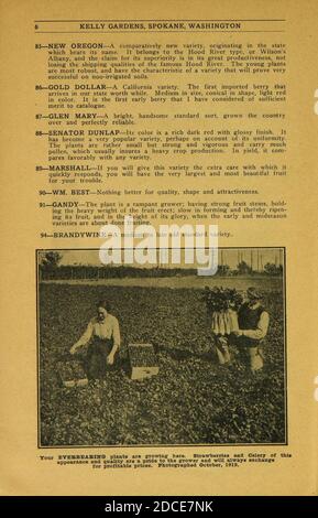 Kelly Plant Gardens materials (Page 1 Stock Photo - Alamy