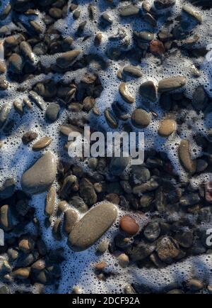 The Mattole beach on the lost Coast in California Stock Photo - Alamy