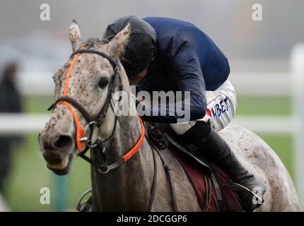 Snow Leopardess ridden by Brian Hughes comes from behind to win the ...