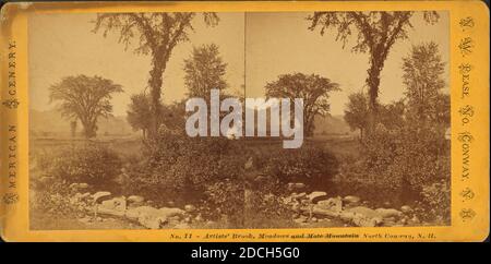 Artist's Brook, Meadows and Mote Mountain, North Conway, N.H, by Pease ...