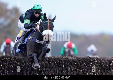 Horse Racing - Hurst Park Racecourse Stock Photo - Alamy