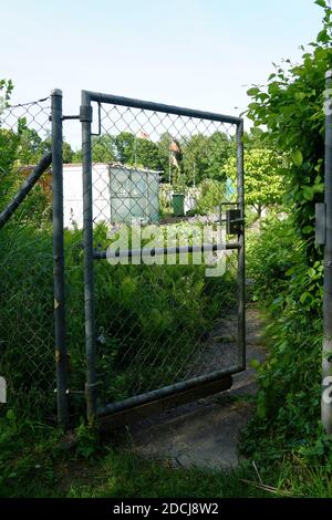 Chicken wire fence gate is locked with a chain and a lock. Toned image ...