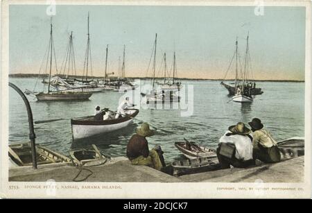 Sponge Fleet, Nassau, B. I., still image, Postcards, 1898 - 1931 Stock ...