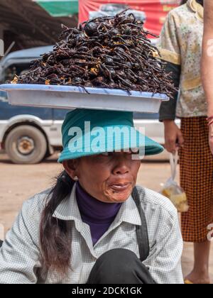 Cambodia, Woman selling fried tarantula spiders Stock Photo - Alamy
