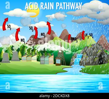 Diagram showing acid rain pathway illustration Stock Vector Image & Art ...