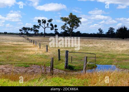 Rural farmland and fenceline, Muchea, Western Australia Stock Photo - Alamy