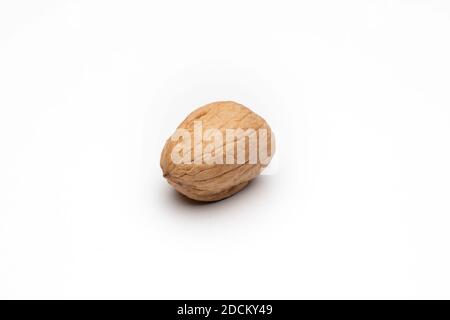 walnut on a white background Stock Photo - Alamy