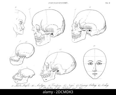 Vintage illustration of a Study in facial expressions, Victorian 19th ...