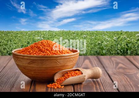 dry red lentils in ceramic bowl Stock Photo - Alamy