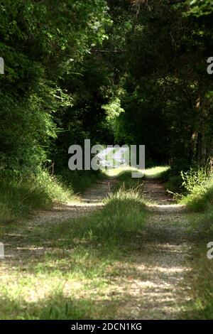Virginia, USA. Road in the countryside going beside James River Stock ...