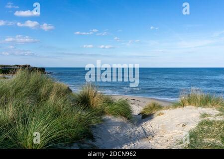 A beach access through marsh grass and sand dunes to a secluded sandy ...