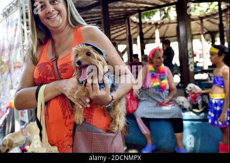 A happy family of four and a dog celebrate the New Year. Dad, mom, son ...