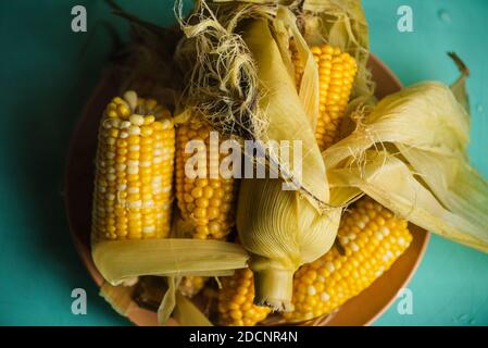 Boiled corn - portioned chunks. Boiled corn in chunks. Corn Stock Photo ...