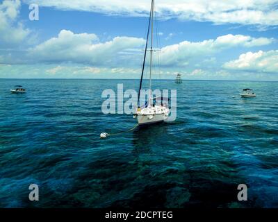 Coral reef off Key Largo coast, Florida, USA Stock Photo - Alamy