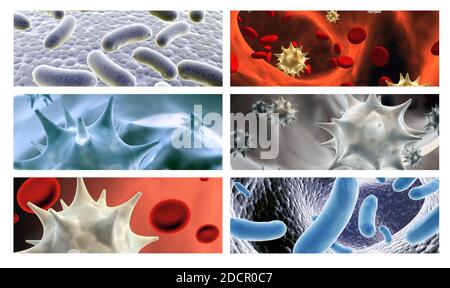 Collection of horizontal or vertical banners with pathogenic bacterias ...