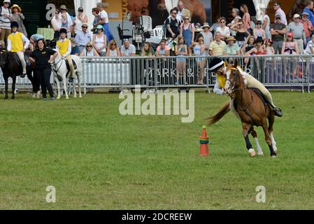 Members of Welsh pony clubs compete in mounted games at the 100th Royal ...