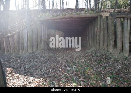 earth staple in wood construction, futuristic and experimental building ...